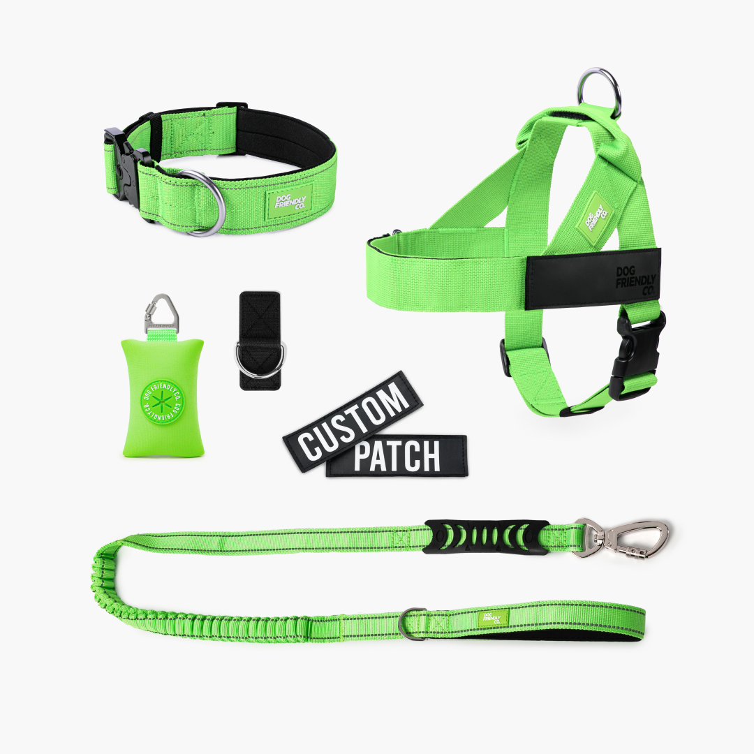 Walk Essentials: All Inclusive Dog Walk Bundle | Dog Friendly Co.
