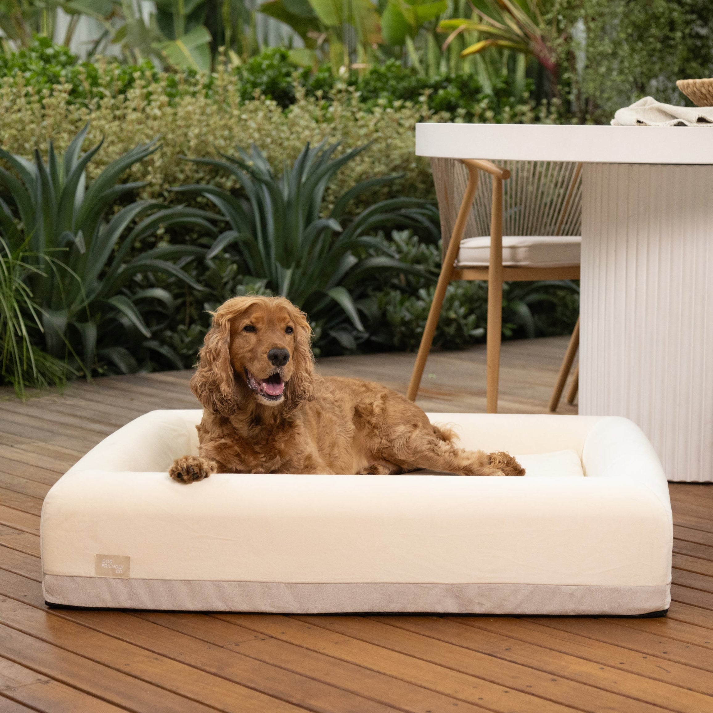 Does Your Dog Actually Need a Bed, or Is the Floor Fine? – Dog Friendly Co.