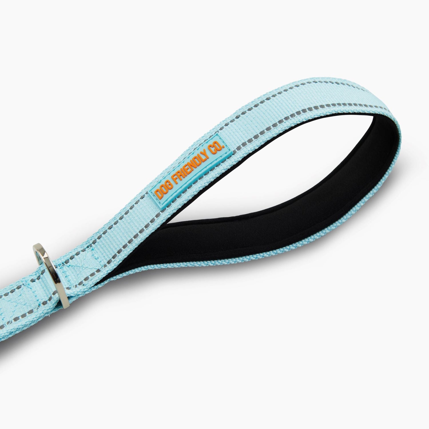 How to Use a Long Dog Leash | Dog Friendly Co.