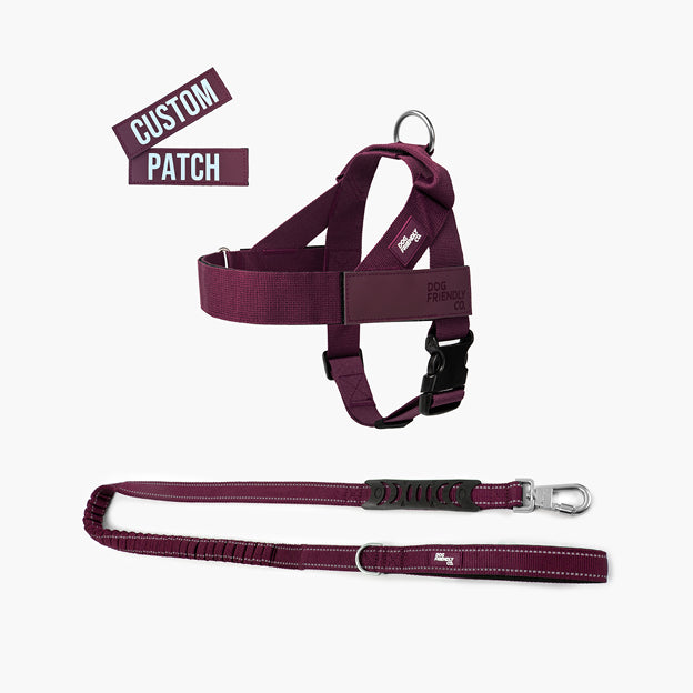 Dog Signature Kit, Harness & Leash Bundle – Dog Friendly Co.