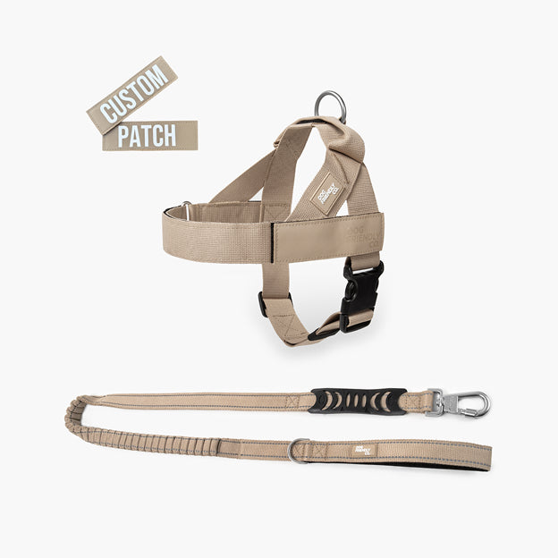 Dog Signature Kit, Harness & Leash Bundle – Dog Friendly Co.