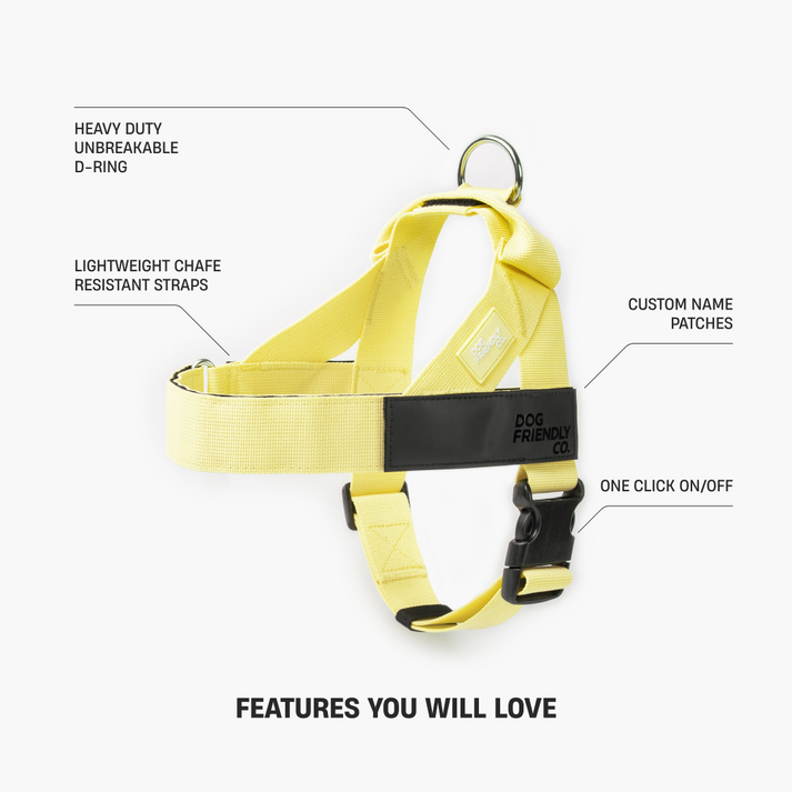 Personalised Dog Harnesses With Name Patch | Dog Friendly Co.