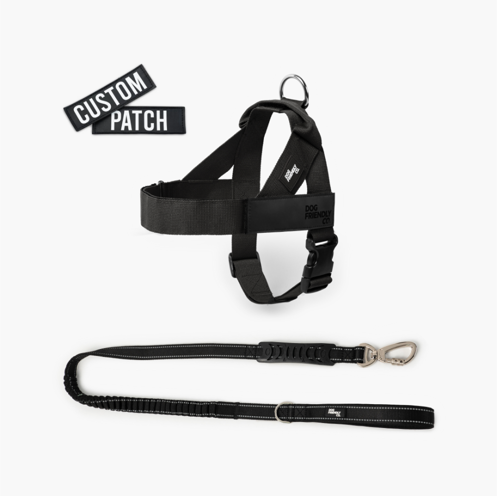Dog Signature Kit, Harness & Leash Bundle – Dog Friendly Co.