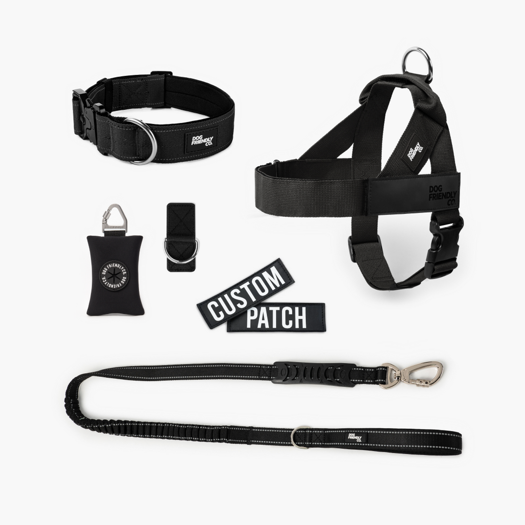 Our Dog Bundles - Leashes, Harnesses & More Online | Dog Friendly Co.