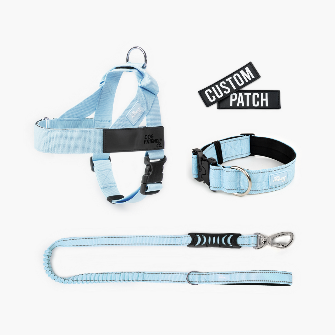 Walk Bundles – Dog Friendly Co.