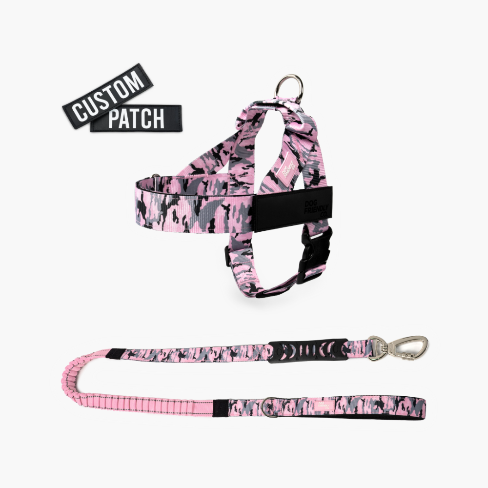 Dog Signature Kit, Harness & Leash Bundle – Dog Friendly Co.