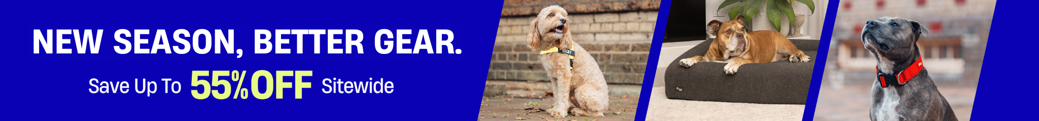 Our Dog Bundles - Leashes, Harnesses & More Online | Dog Friendly Co.