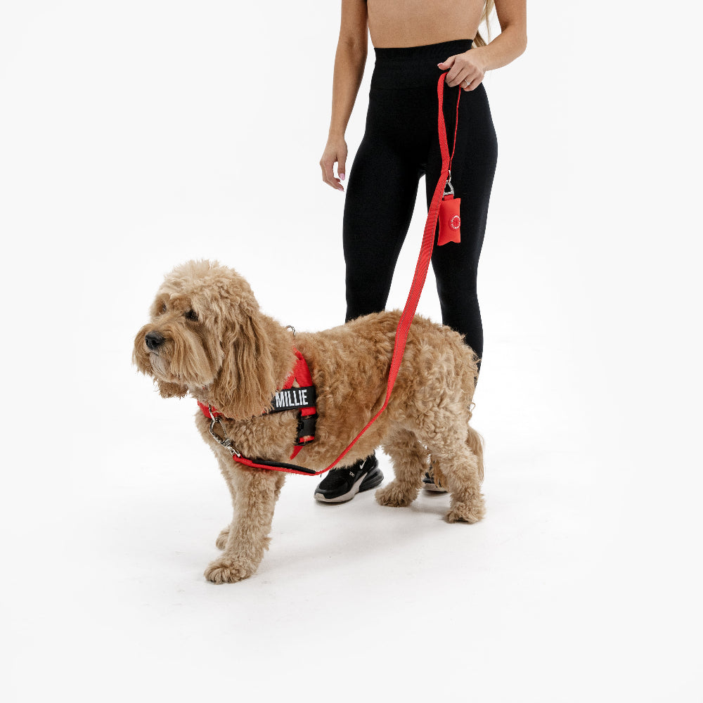 Dog Signature Kit, Harness & Leash Bundle - Red – Dog Friendly Co.