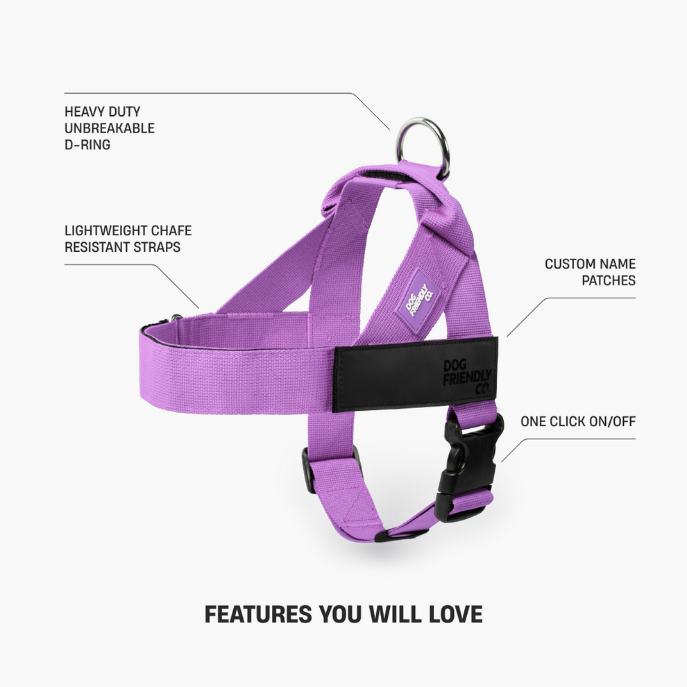 Personalised Dog Harnesses With Name Patch | Dog Friendly Co.