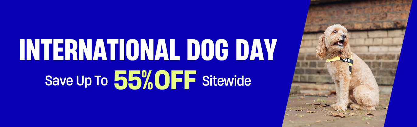 Our Dog Bundles - Leashes, Harnesses & More Online | Dog Friendly Co.