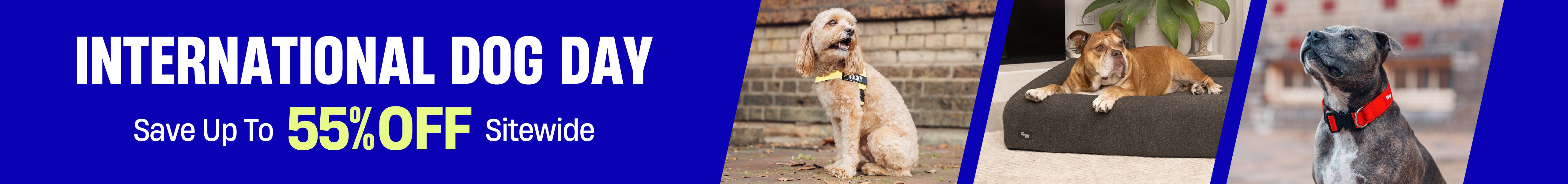 Our Dog Bundles - Leashes, Harnesses & More Online | Dog Friendly Co.