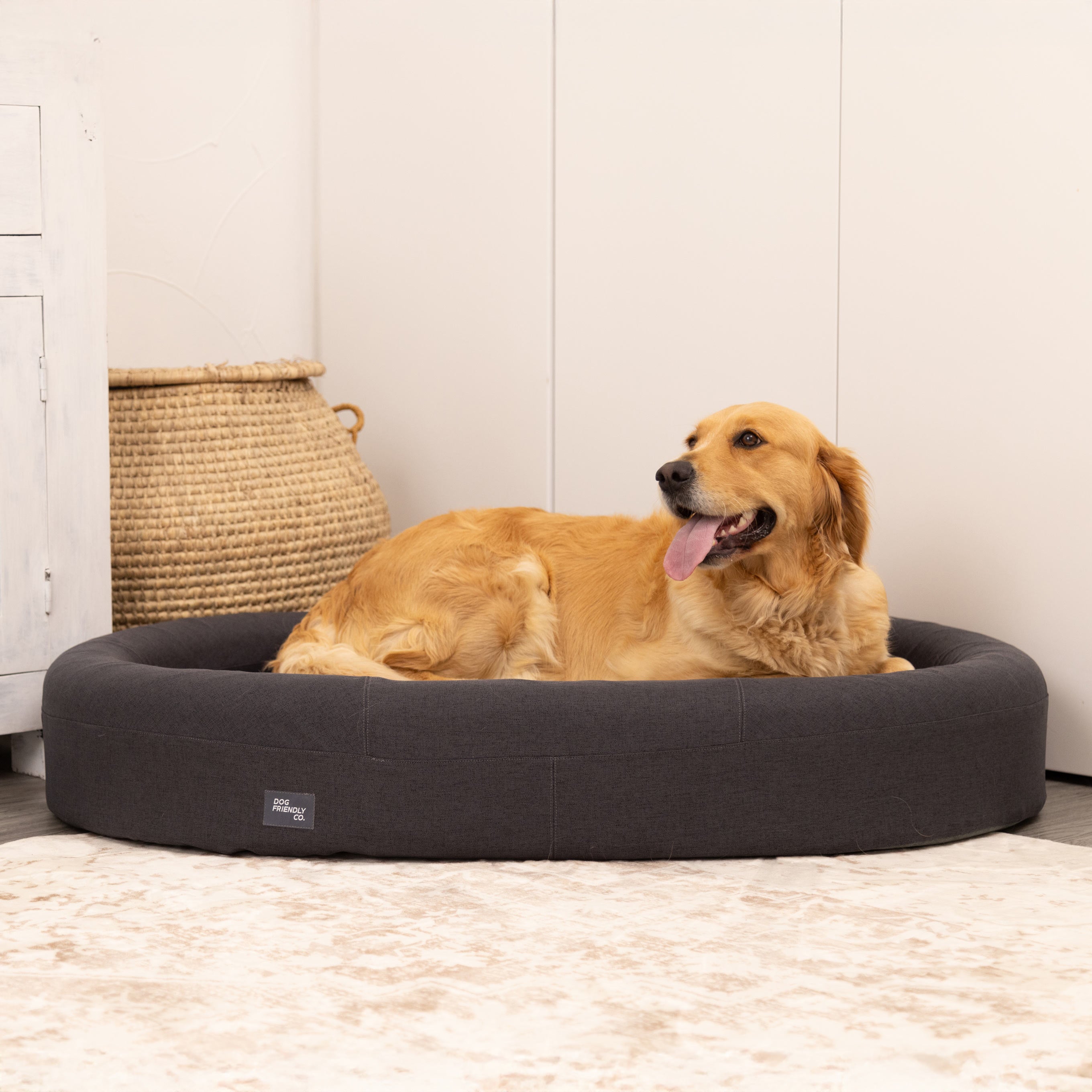 Chill Pill Memory Foam Dog Bed - Charcoal (Large) – Dog Friendly Co.