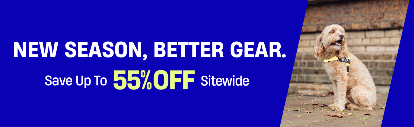 Our Dog Bundles - Leashes, Harnesses & More Online | Dog Friendly Co.