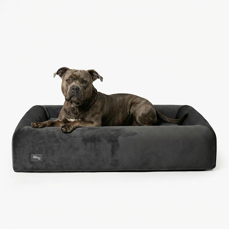Premium Orthopedic Memory Foam Dog Bed - Charcoal (Large) – Dog ...