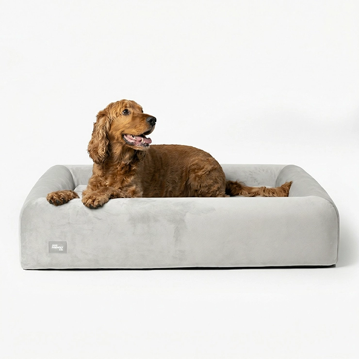 Premium Orthopedic Memory Foam Dog Bed - Grey – Dog Friendly Co.
