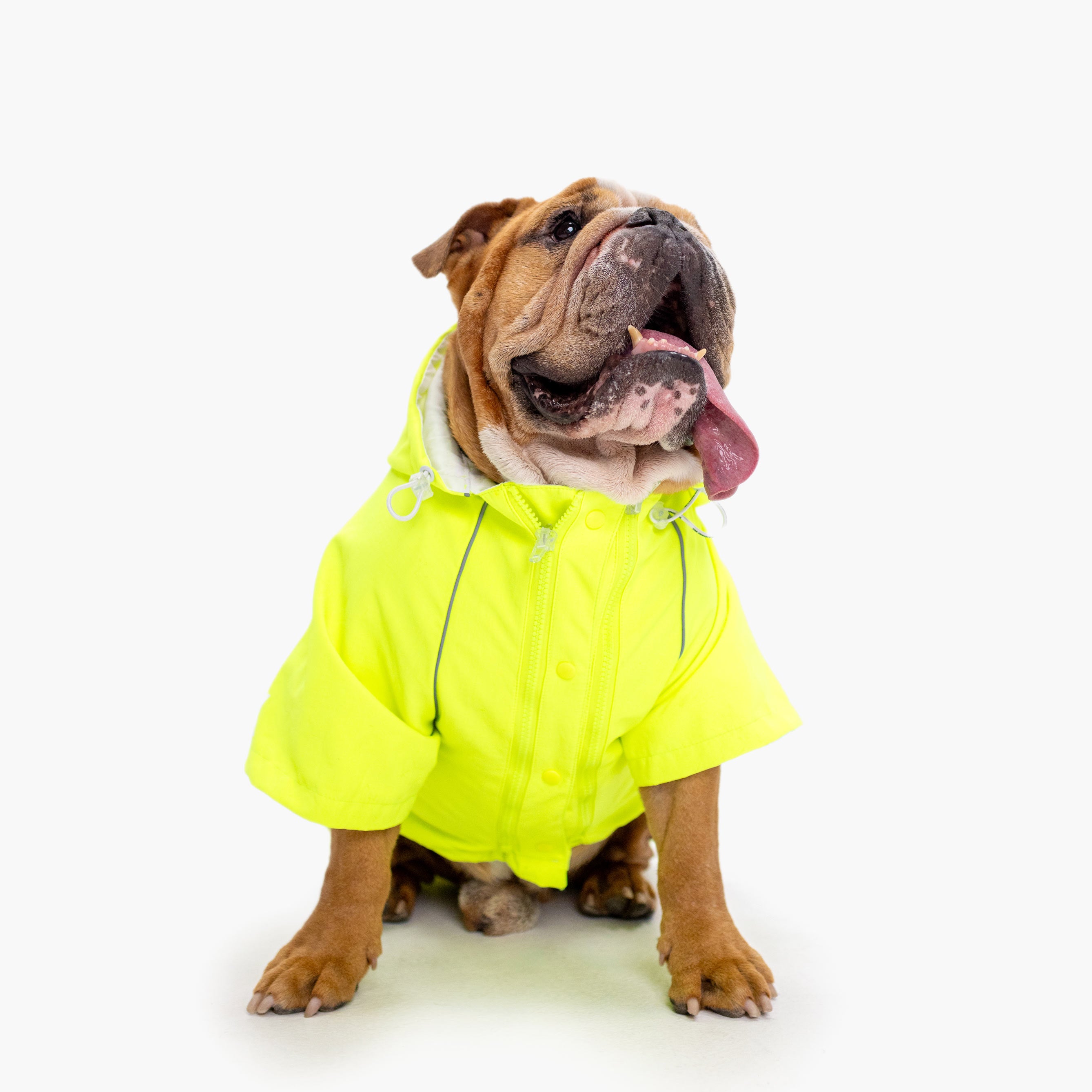 Apparel – Dog Friendly Co.