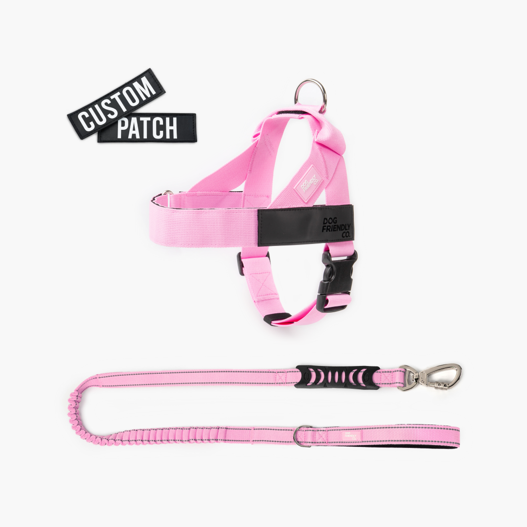 Dog Signature Kit, Harness & Leash Bundle - Pink – Dog Friendly Co.