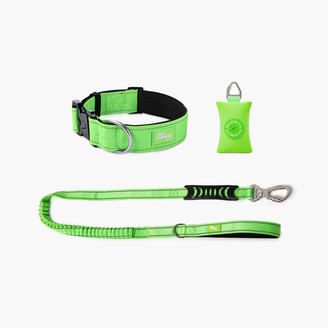 Dog Collar Walk Set - Neon Green – Dog Friendly Co.