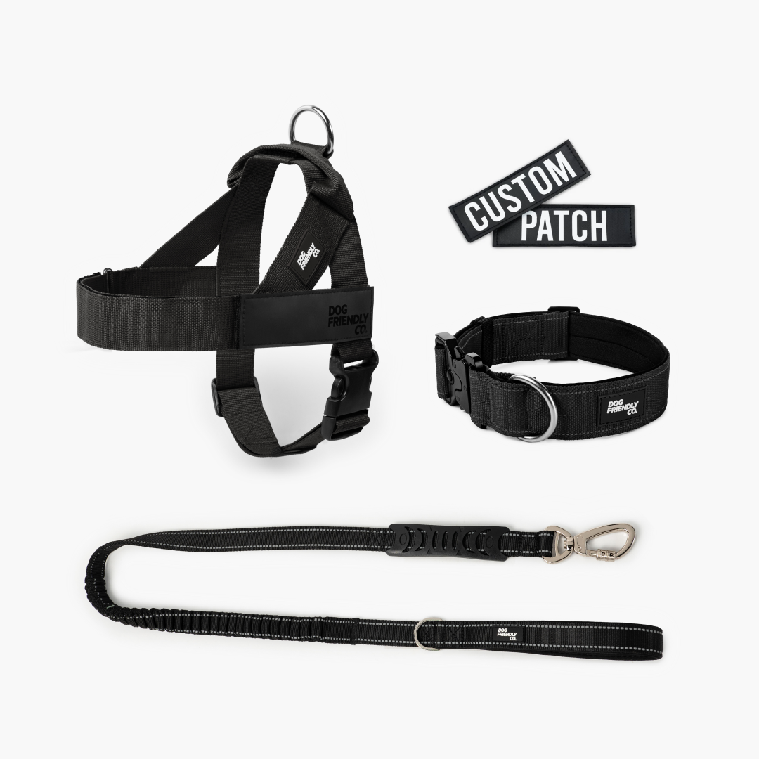 Our Dog Bundles - Leashes, Harnesses & More Online | Dog Friendly Co.