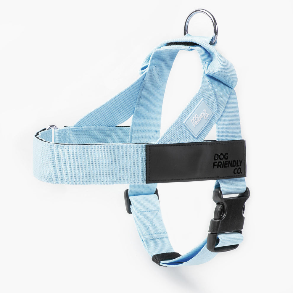 Personalised Dog Harnesses With Name Patch | Dog Friendly Co.