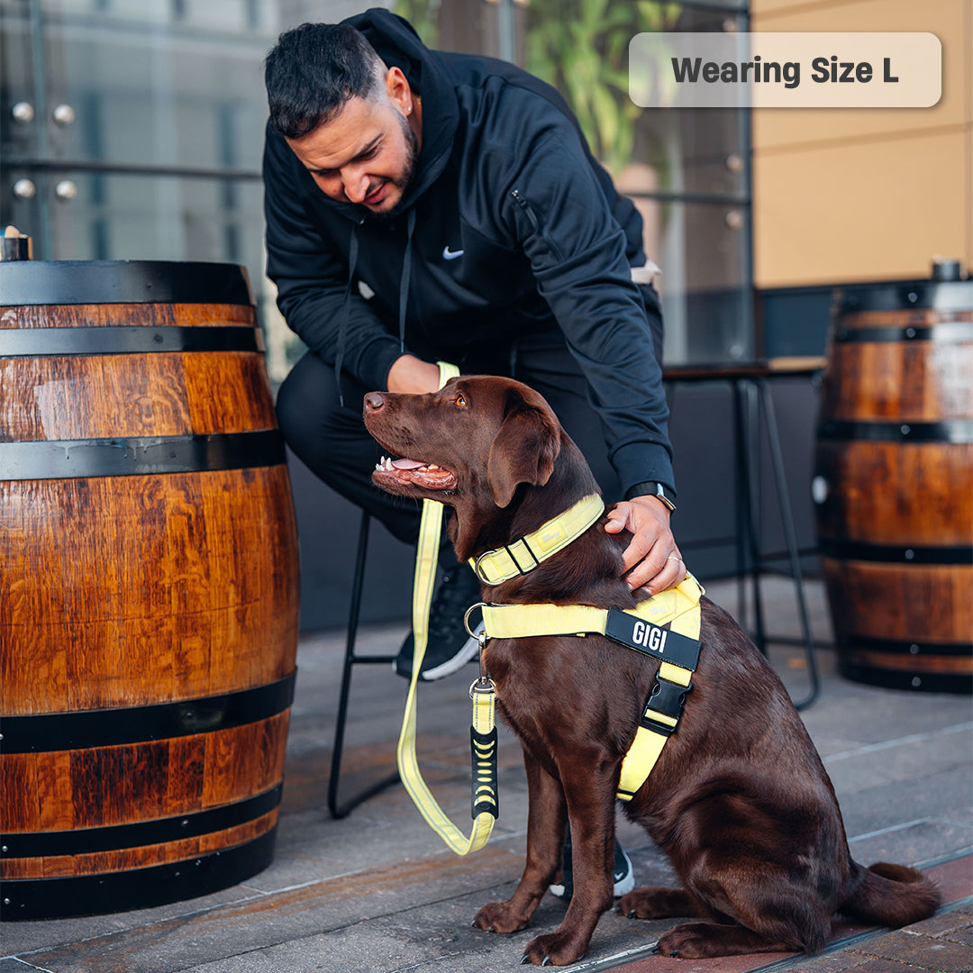 Personalised Dog Harnesses With Name Patch | Dog Friendly Co.