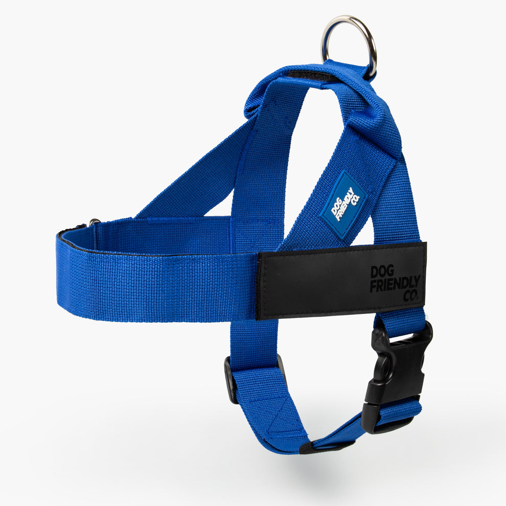Personalised Dog Harnesses With Name Patch | Dog Friendly Co.