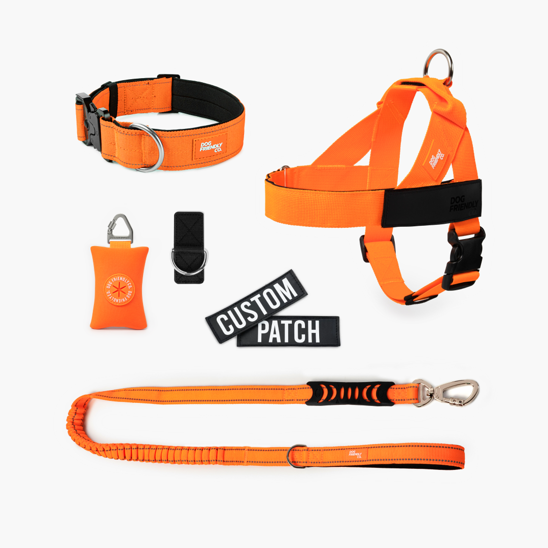 No-Pull Dog Harness, Collar & Leash Set - Hi-Vis Orange – Dog Friendly Co.