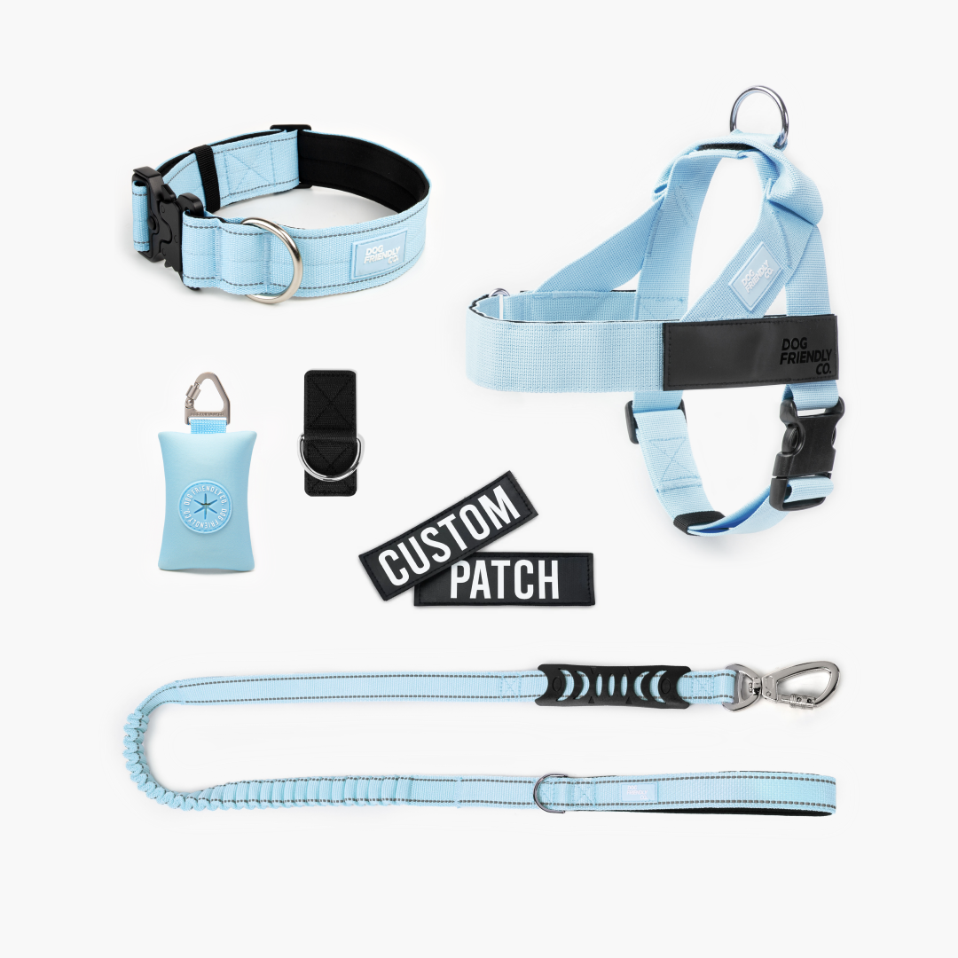 Walk Essentials: All Inclusive Dog Walk Bundle | Dog Friendly Co.