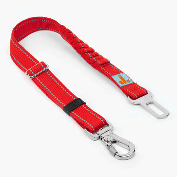 Top-Rated Dog Accessories for Every Breed | Dog Friendly Co.