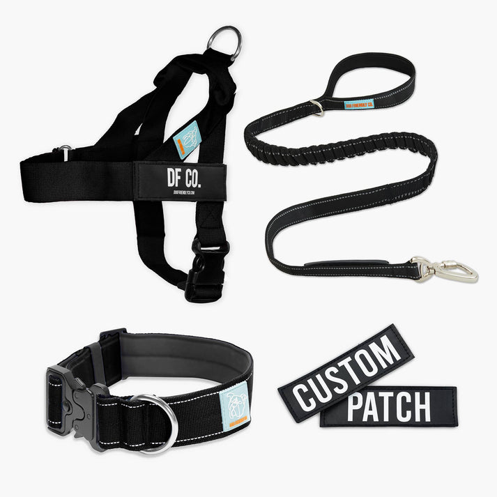 All Inclusive Dog Lovers Pack – Dog Friendly Co.