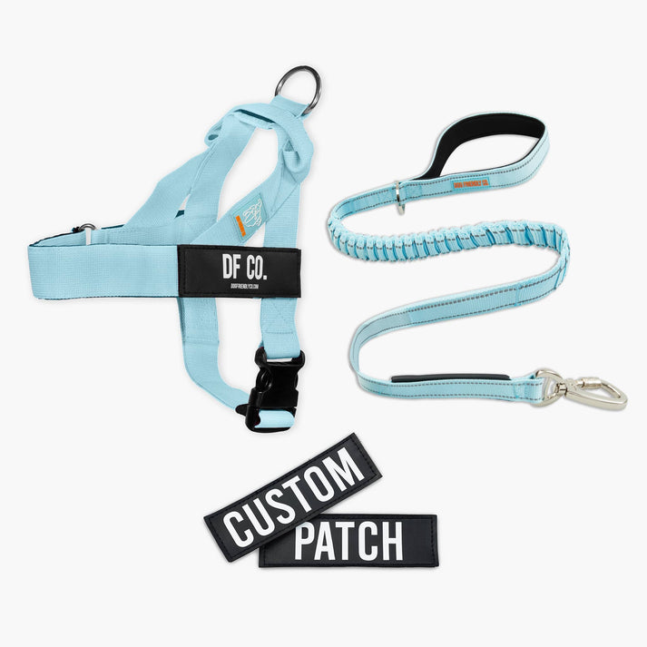 Dog Signature Kit, Harness & Leash Bundle – Dog Friendly Co.
